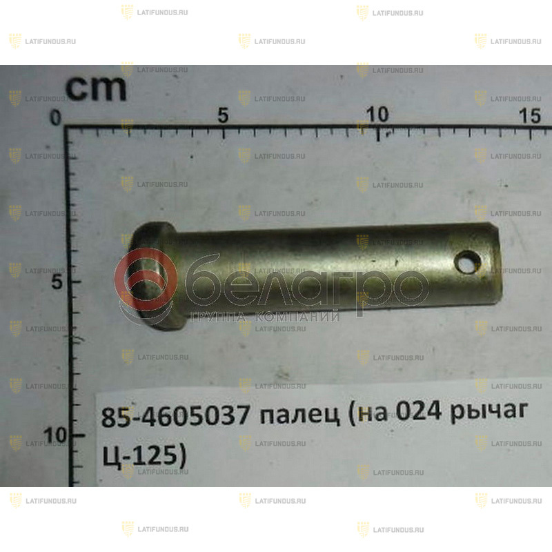 85-4605037 Палец цилиндра МТЗ :: МТЗ-800. 900 и -1000 серии :: Запчасти ...